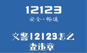 交警12123怎么查违章-交警12123查违章的方法 - 完美教程资讯-完美教程资讯